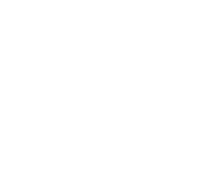Burrows Financial